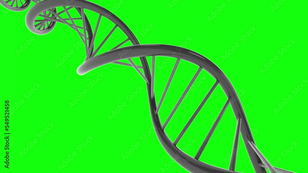 Vidéo Stock DNA 3D animation Green screen Chroma key. Rotating DNA ...