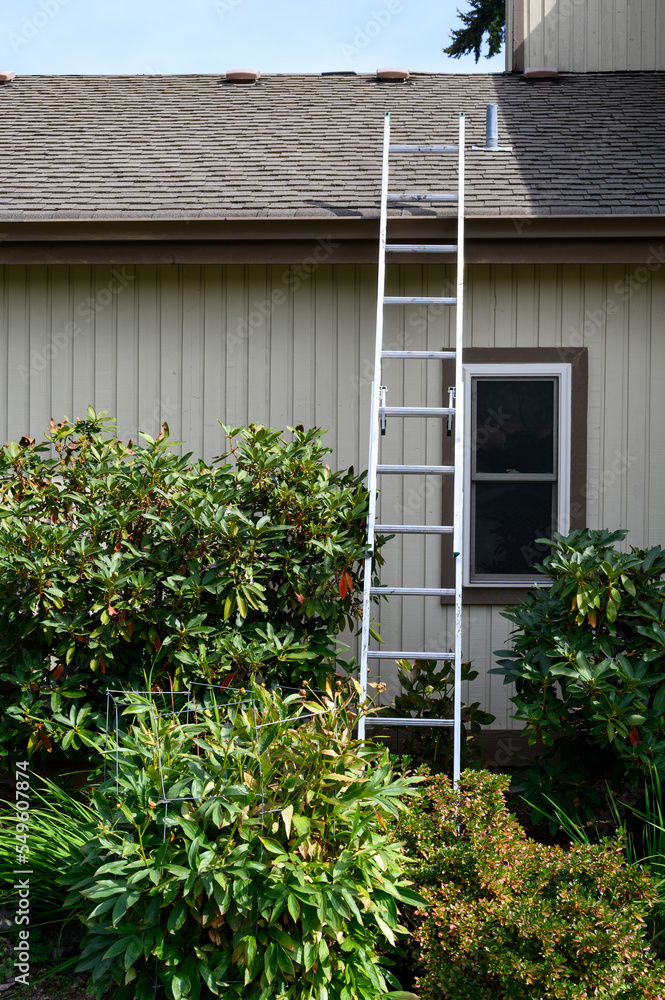Aluminum extension ladder leaning against a brown residential house ...