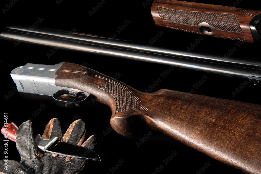 classic double-barreled shotgun with a beautiful dark walnut stock and ...