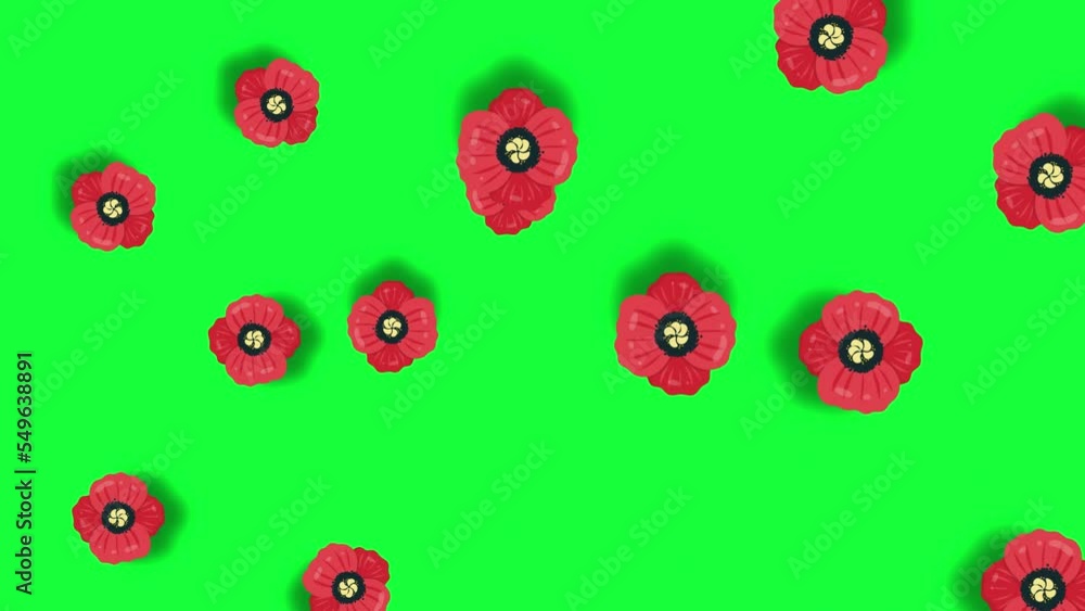 Pearl Harbor Remembrance Day 7 December red poppies flower rotating ...