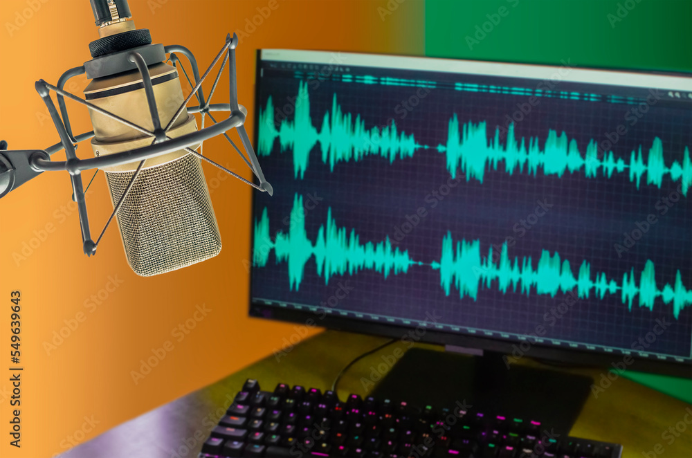 professional microphone and sound wave form on computer screen Stock ...