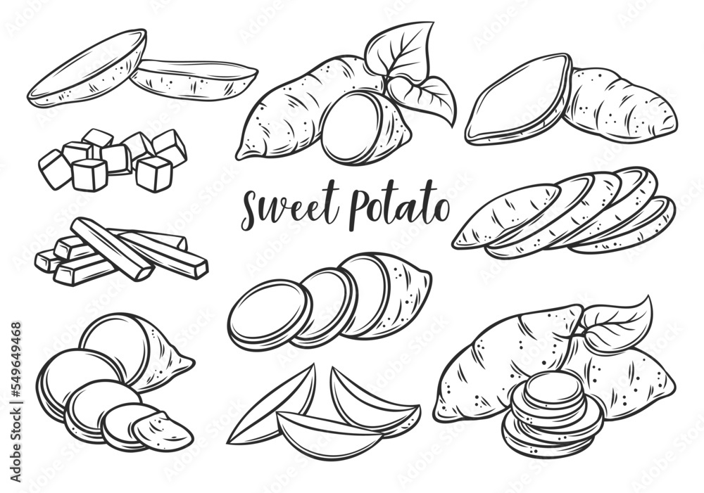 Sweet potato outline icons set vector illustration. Line hand drawn ...