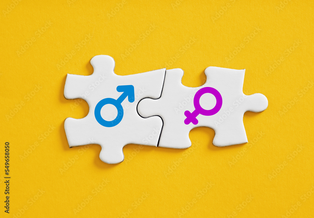 Male and female gender symbols on puzzle pieces. Man and woman ...