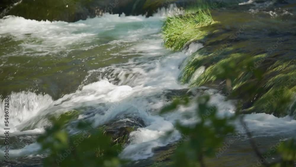 A small river flows through the forest, with a waterfall and ...