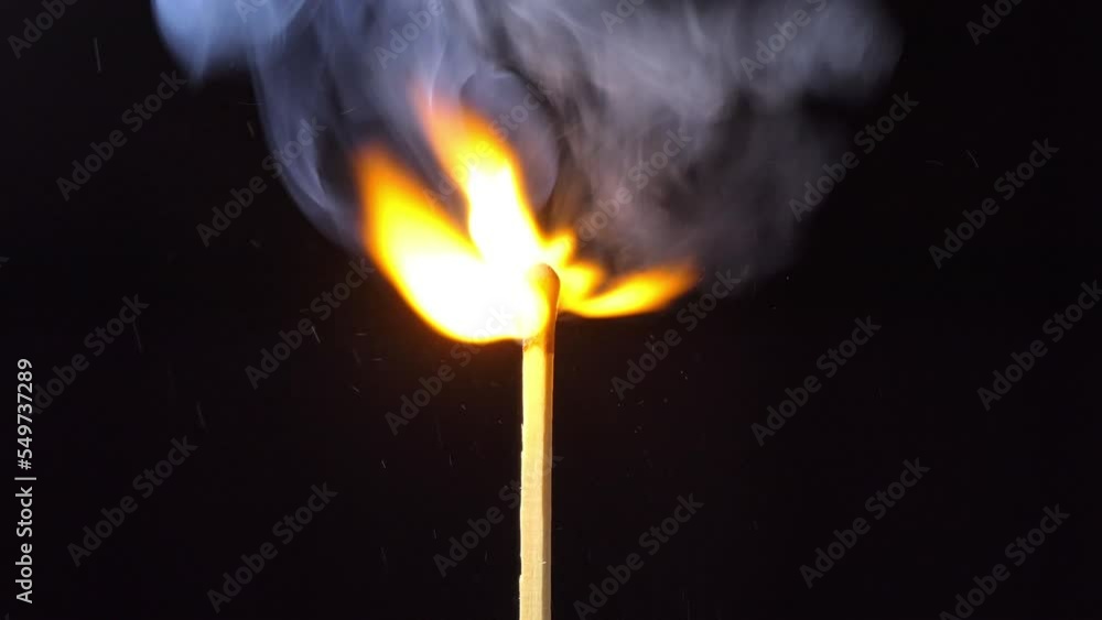 Full body shot of Match burning and combusting on black background. The ...