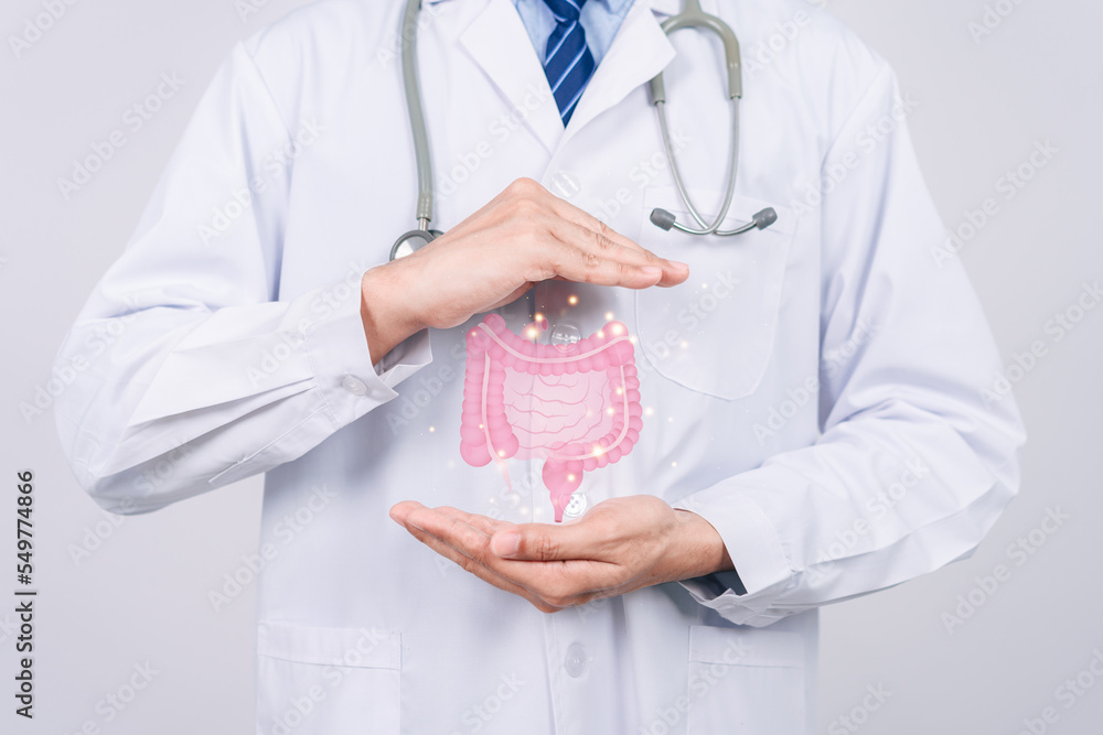 doctor in a white coat hands holding stomach with intestine virtual ...