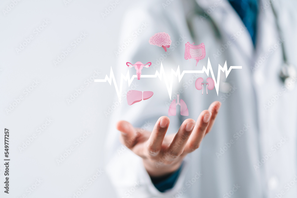 Doctor showing organs virtual icon, Checkup uterus, female reproductive ...