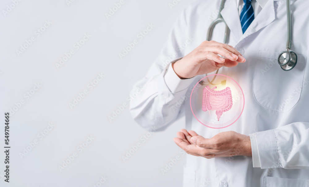 doctor in a white coat hands holding stomach with intestine virtual ...