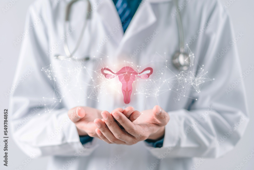 doctor in a white coat holding virtual uterus reproductive system ...