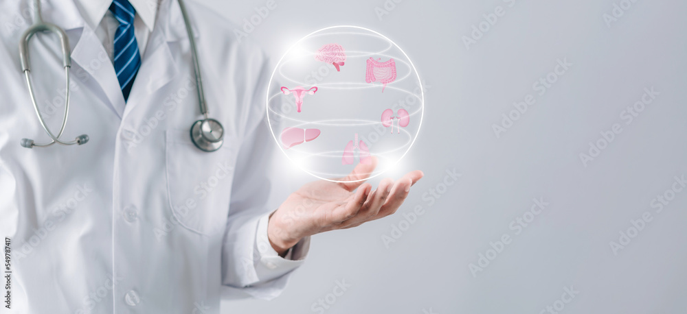 Doctor showing organs virtual icon, Checkup uterus, female reproductive ...