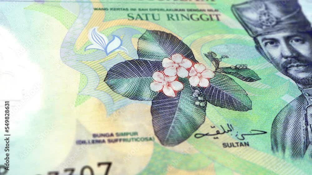 Brunei Brunei Dollar 1 Banknotes, One Brunei Dollar, Close-up and macro ...