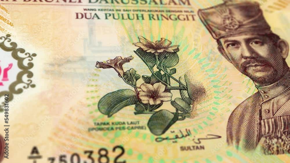 Convert Brunei Dollar To Euro at George Delano blog