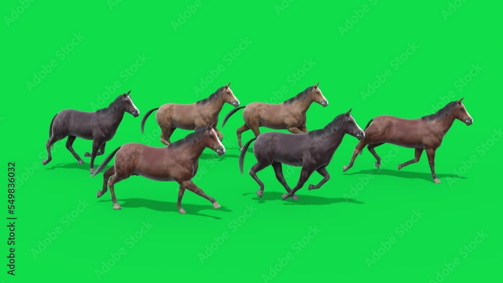 Group of Horses Runcycle Green Screen Animals Loop Side 3D Animations ...