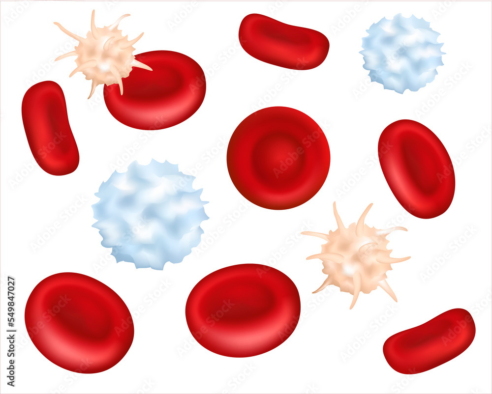 Healthy human platelets, red and white blood cells under microscope ...