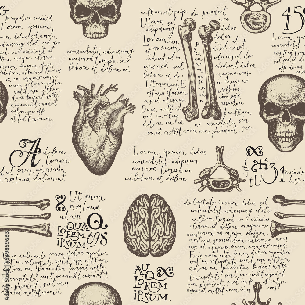 Anatomy seamless pattern with hand-drawn human skulls, bones, joints ...