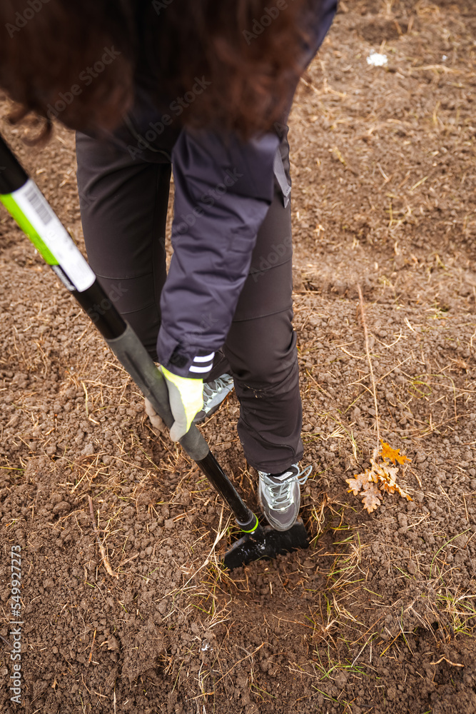 Tree planting event. Environmental action to create a forest by ...