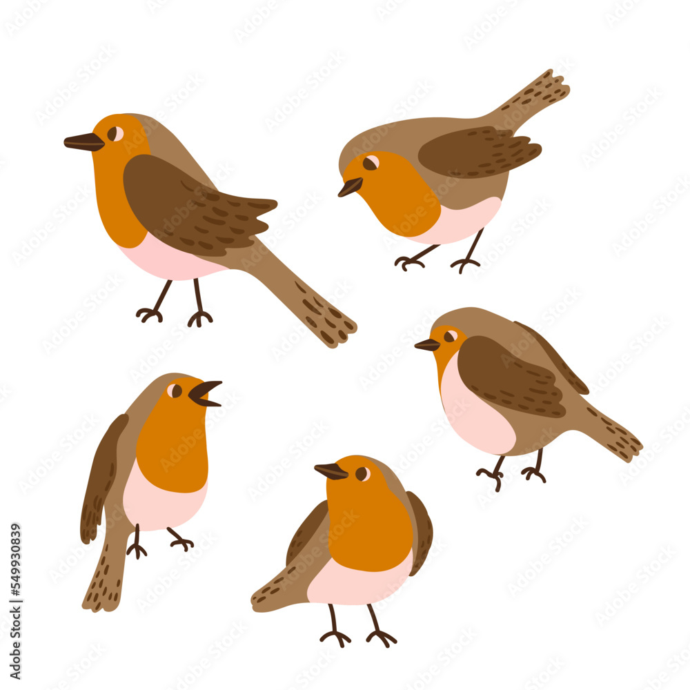Cartoon robin bird icon set. Cute winter bird in different poses ...