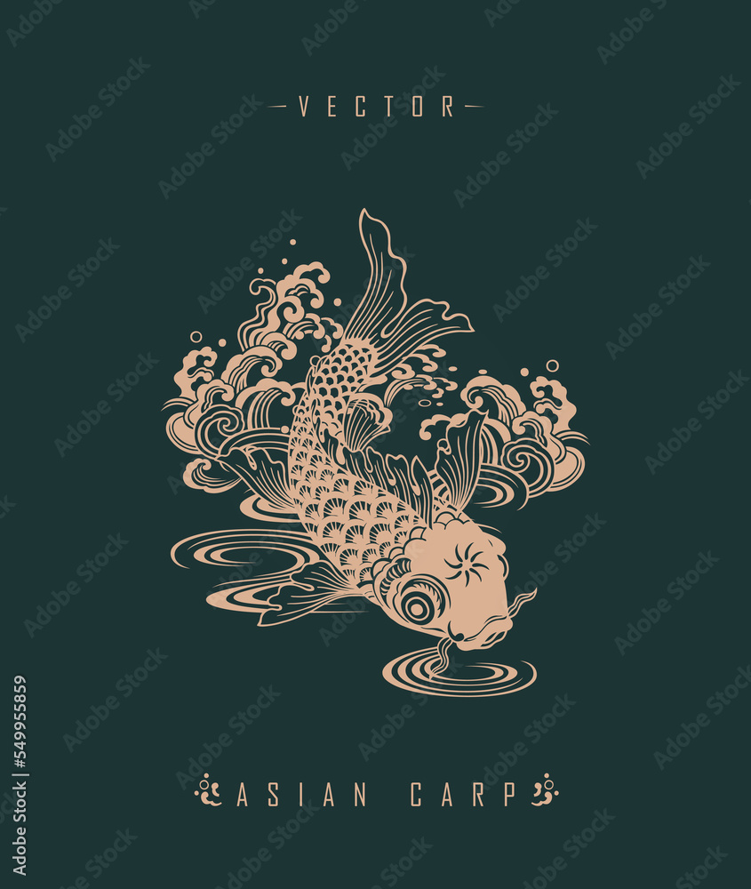 Chinese carp traditional art form Stock Vector | Adobe Stock