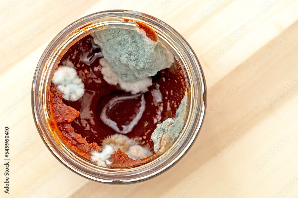 Top view of a can with old moldy tomato paste. food with mold fungus ...