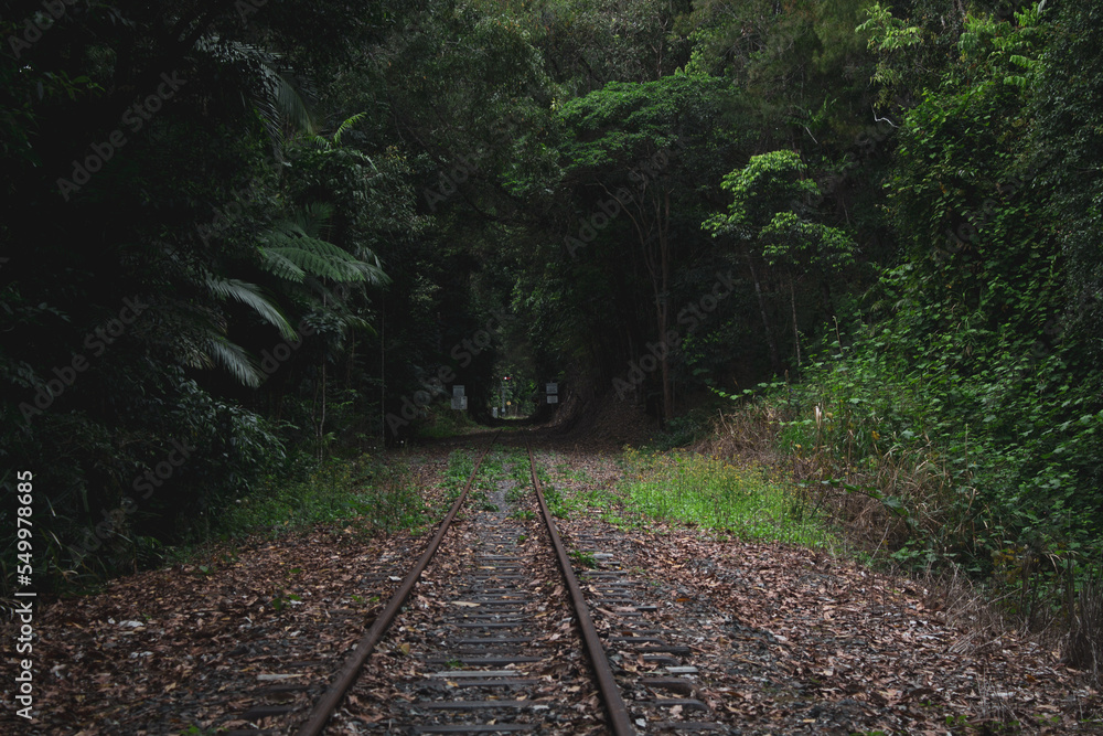 Hermosa aldea indígena australiana en Cairns, queensland. Bosque ...