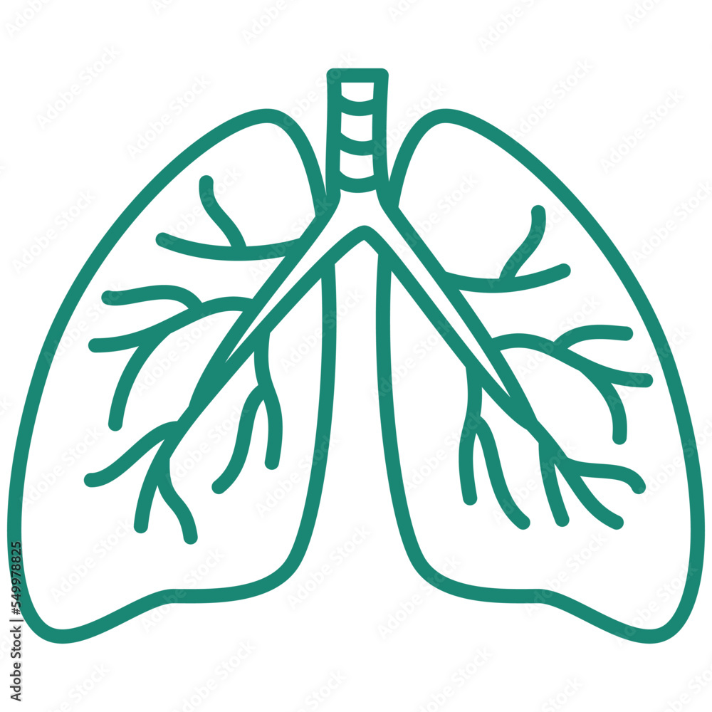 Human Lungs Outline