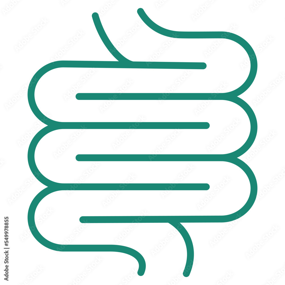 Simple outline modern turquoise intestines or bowel icon. Minimal ...