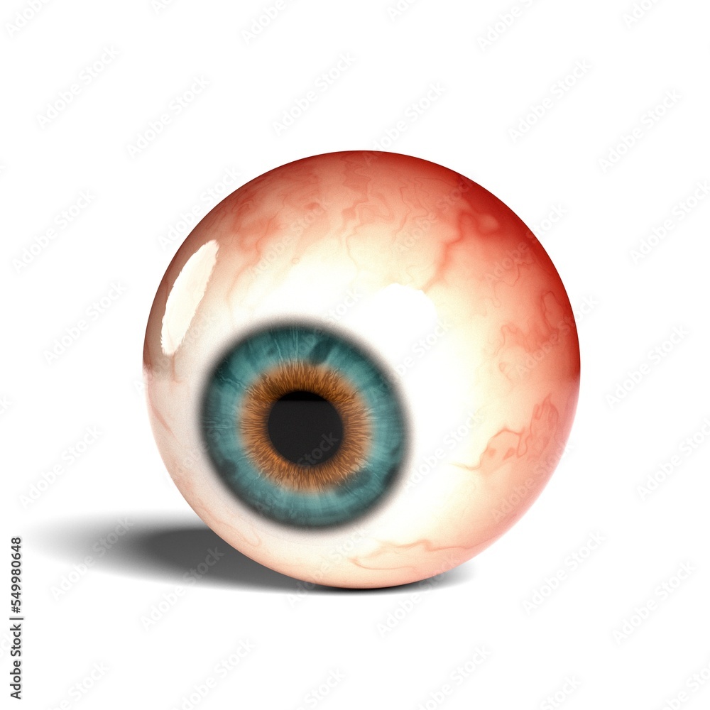 Side view of realistic human eyeball isolated on wihte background, 3D ...