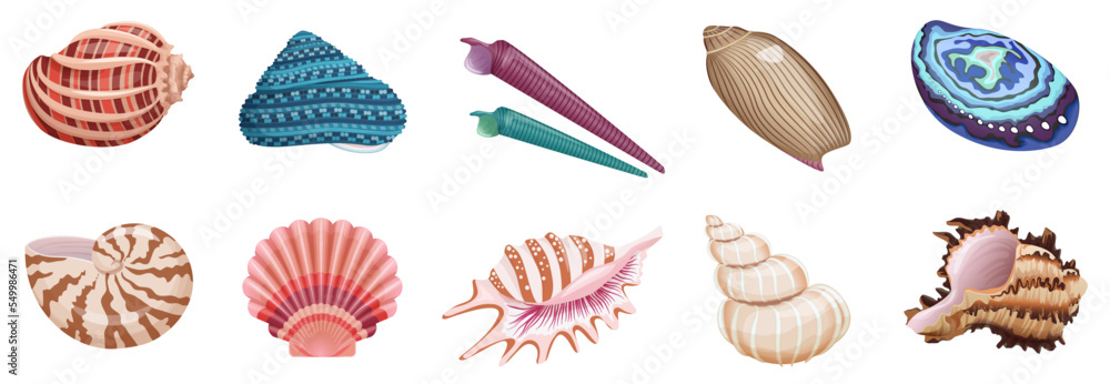 Vetor de Seashells set vector illustration. Cartoon tropical marine ...