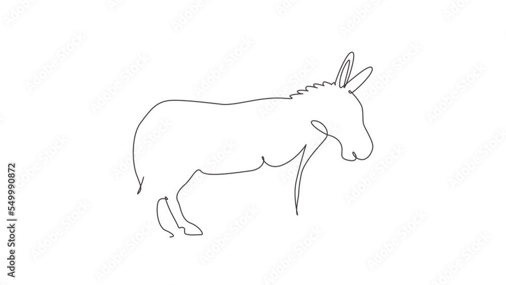 Self drawing animation of single line draw donkey cute farm animal ...