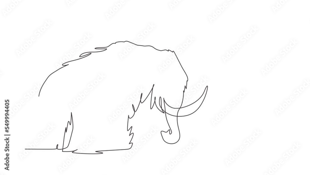 Animated self drawing of single continuous line draw big mammoth ...