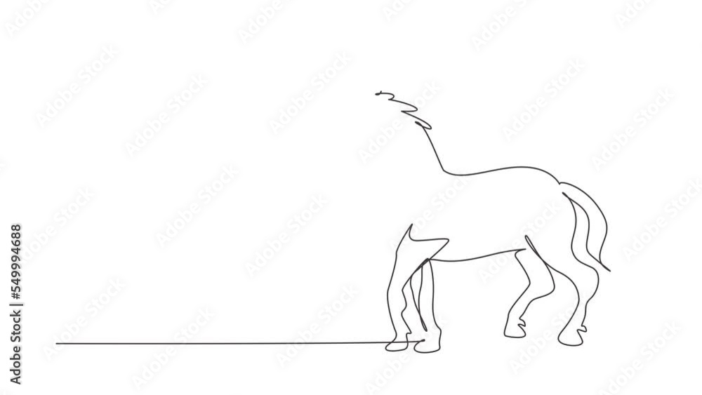 Animated self drawing of continuous line draw proud white horse walks ...