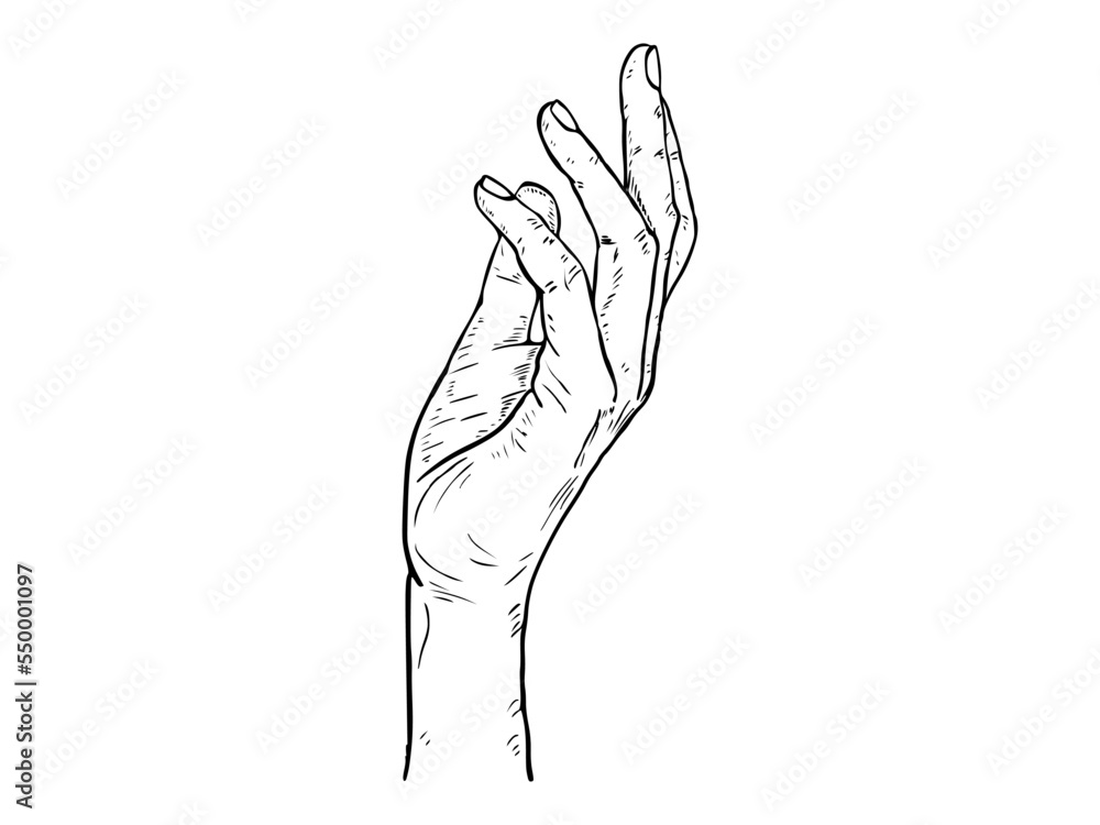 Hand drawn human hand illustration can be use for social media banner ...