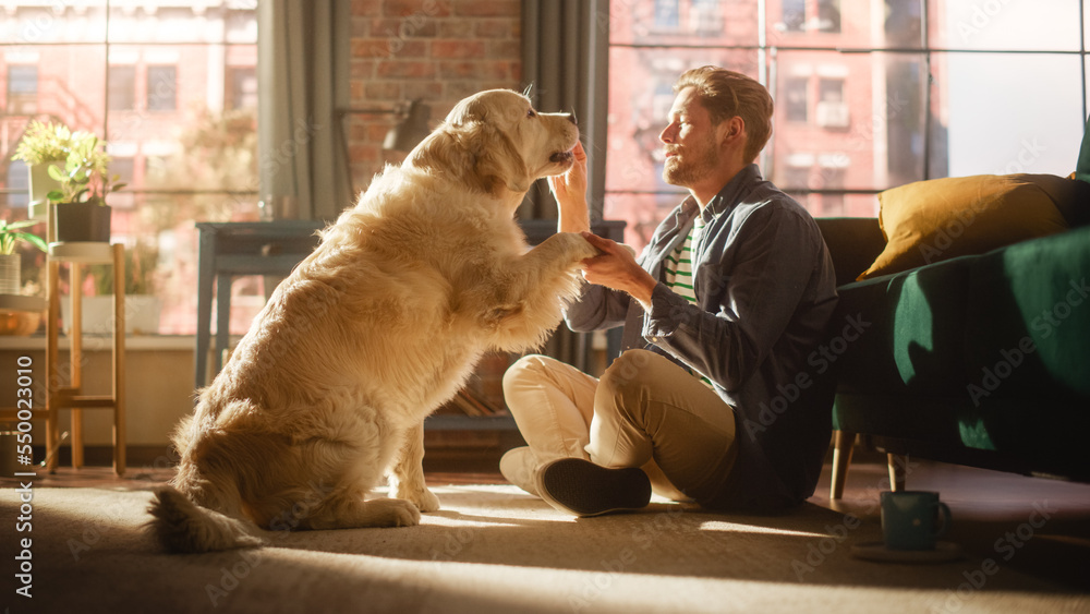 Happy Handsome Young Man Offers His Gorgeous Golden Retriever a Treat ...