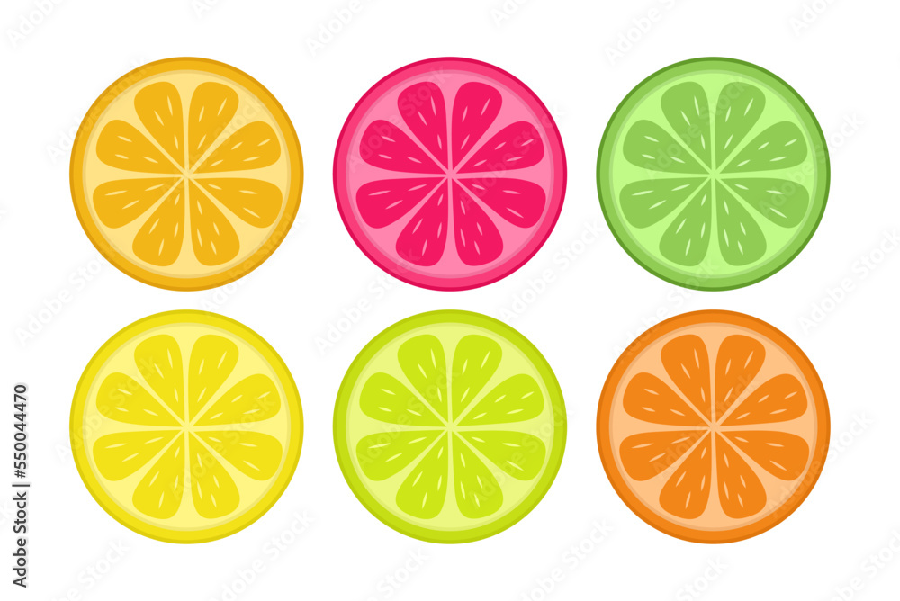 Colorful slices of citrus fruits vector illustrations set. Collection ...