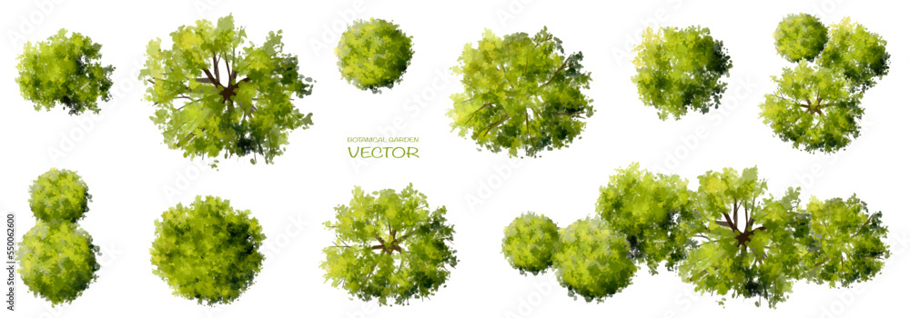 Vector watercolor tree or forest top view isolated on white background ...