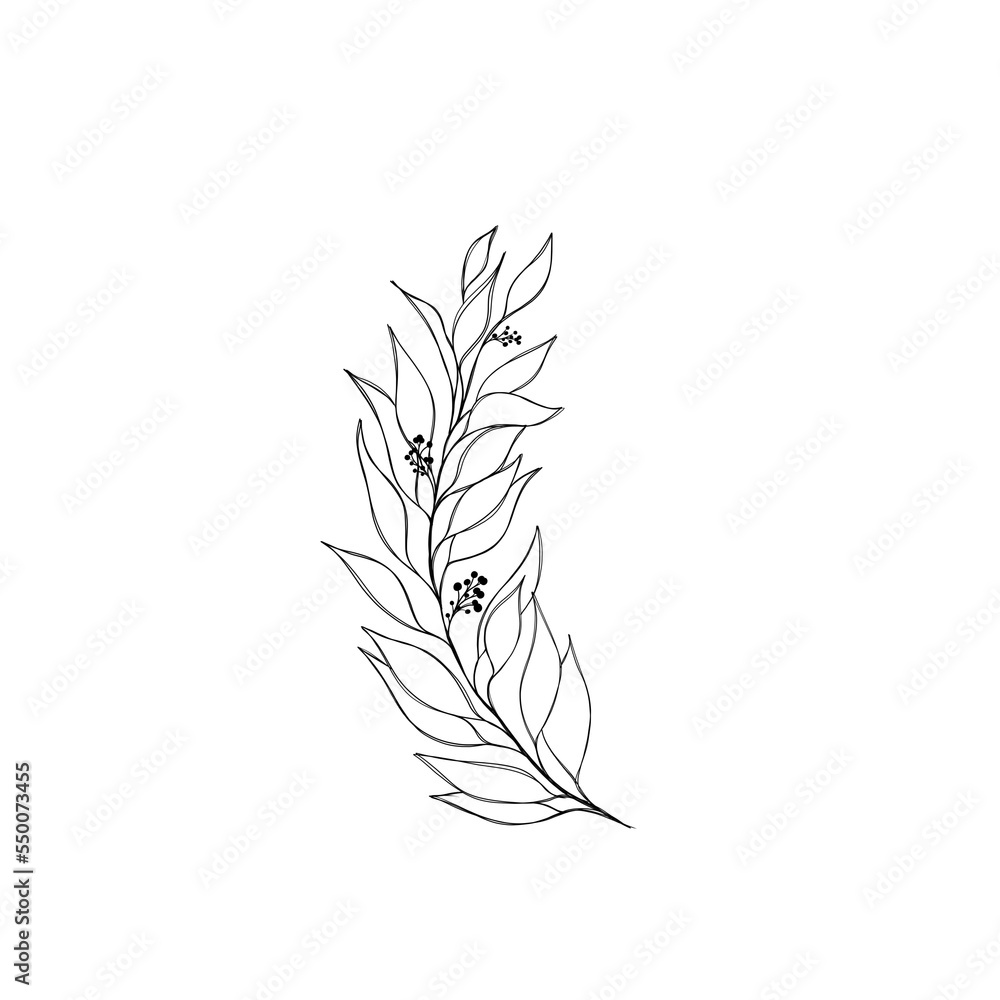 leaf pant line art. Minimalistic line drawing. leaf line art. Botanical ...