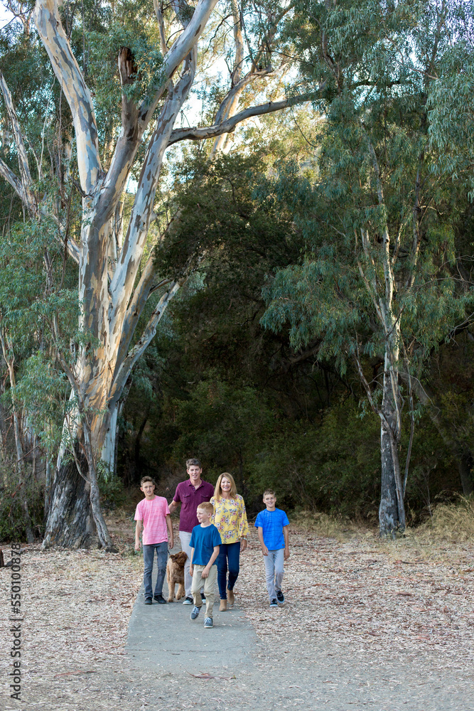 Family of five walking their dog on a path below large Eucalyptus Stock ...
