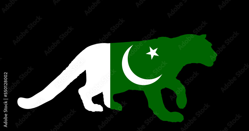 Pakistan flag over Snow leopard national animal vector silhouette ...