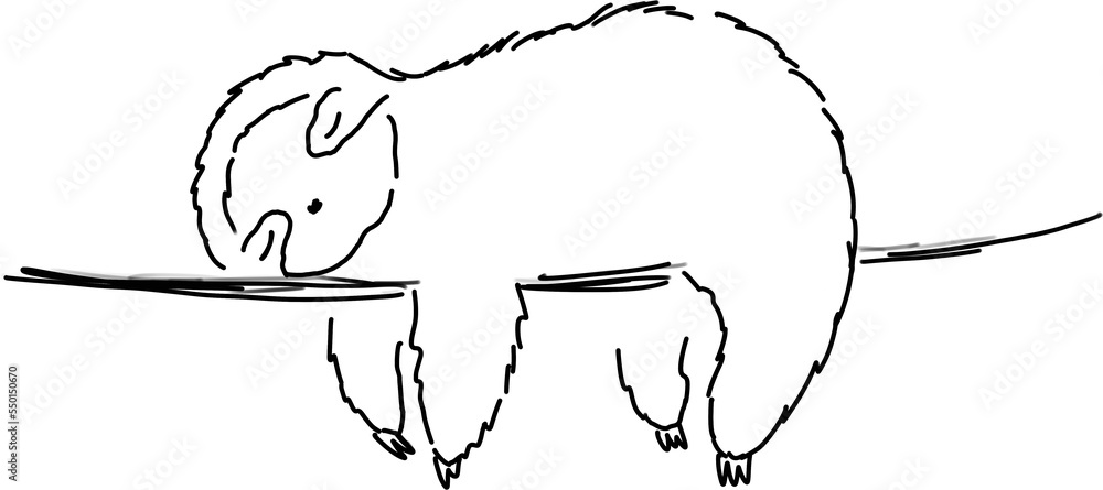 Cute sleeping sloth doodle illustration. Cartoon baby animal Stock ...
