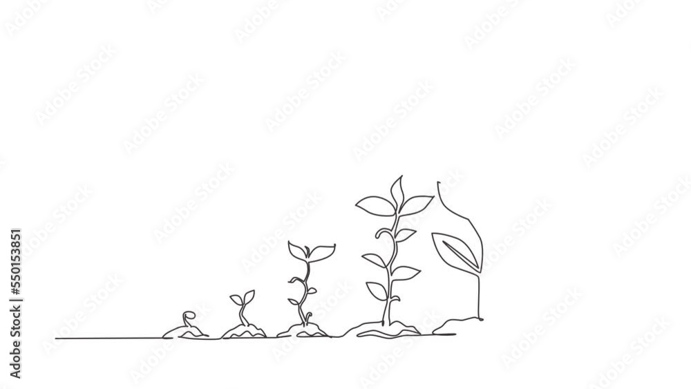 Animated self drawing of continuous line draw infographic of planting ...