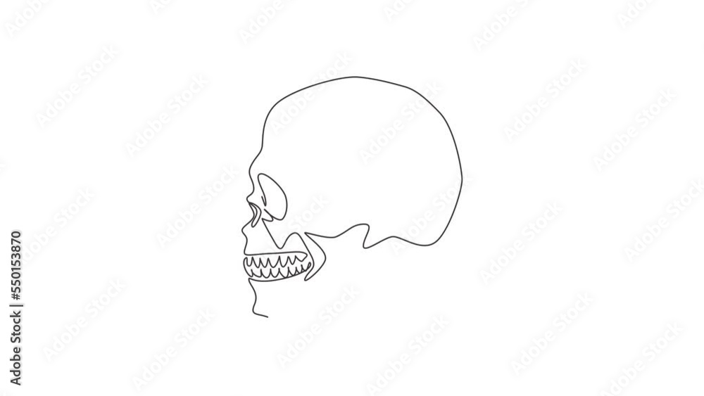 Animated self drawing of continuous line draw black and white ...