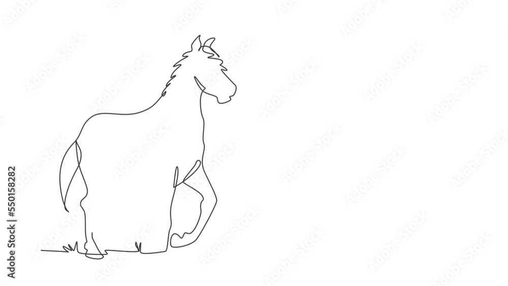 Self drawing animation of single line draw running horse of Arabian ...