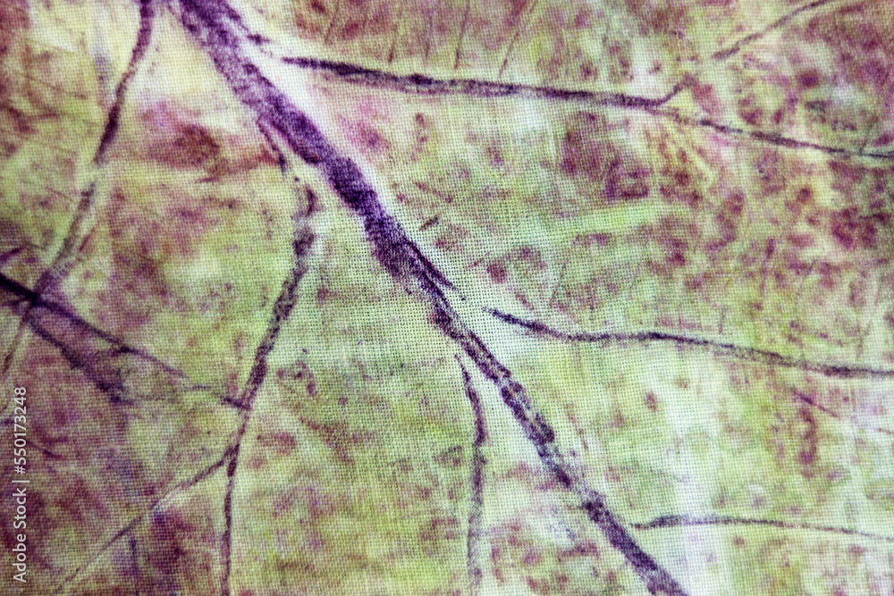 Texture and pattern of teak leaf in red purple and yellow color from ...