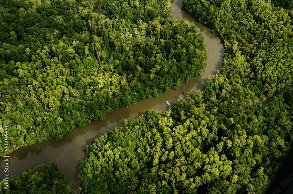 PNG-dense jungle surrounds the Delta regions of remote Papua New Guinea ...