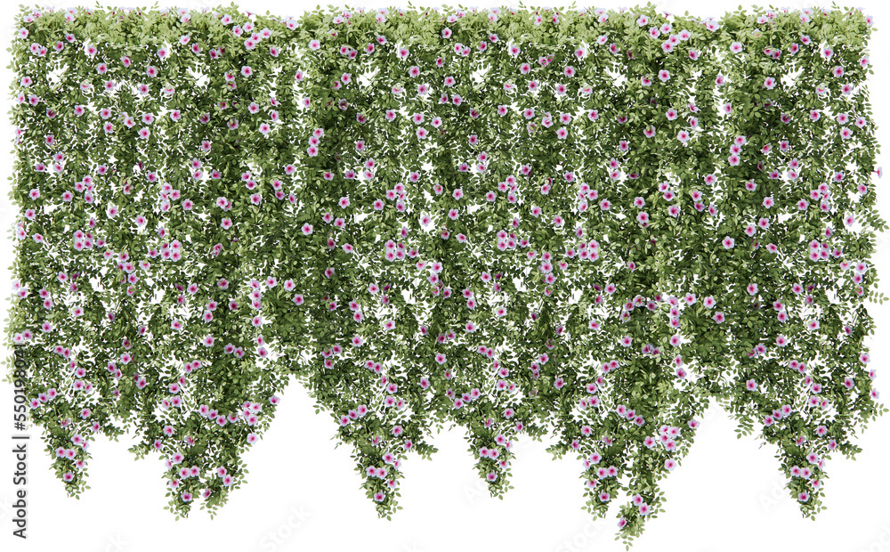 Flower vines cutout Stock Photo | Adobe Stock