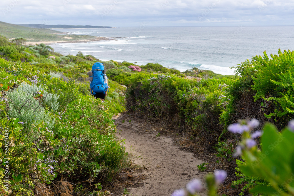 Hiker with large backpack full of gear hiking along sandy trail on Cape ...