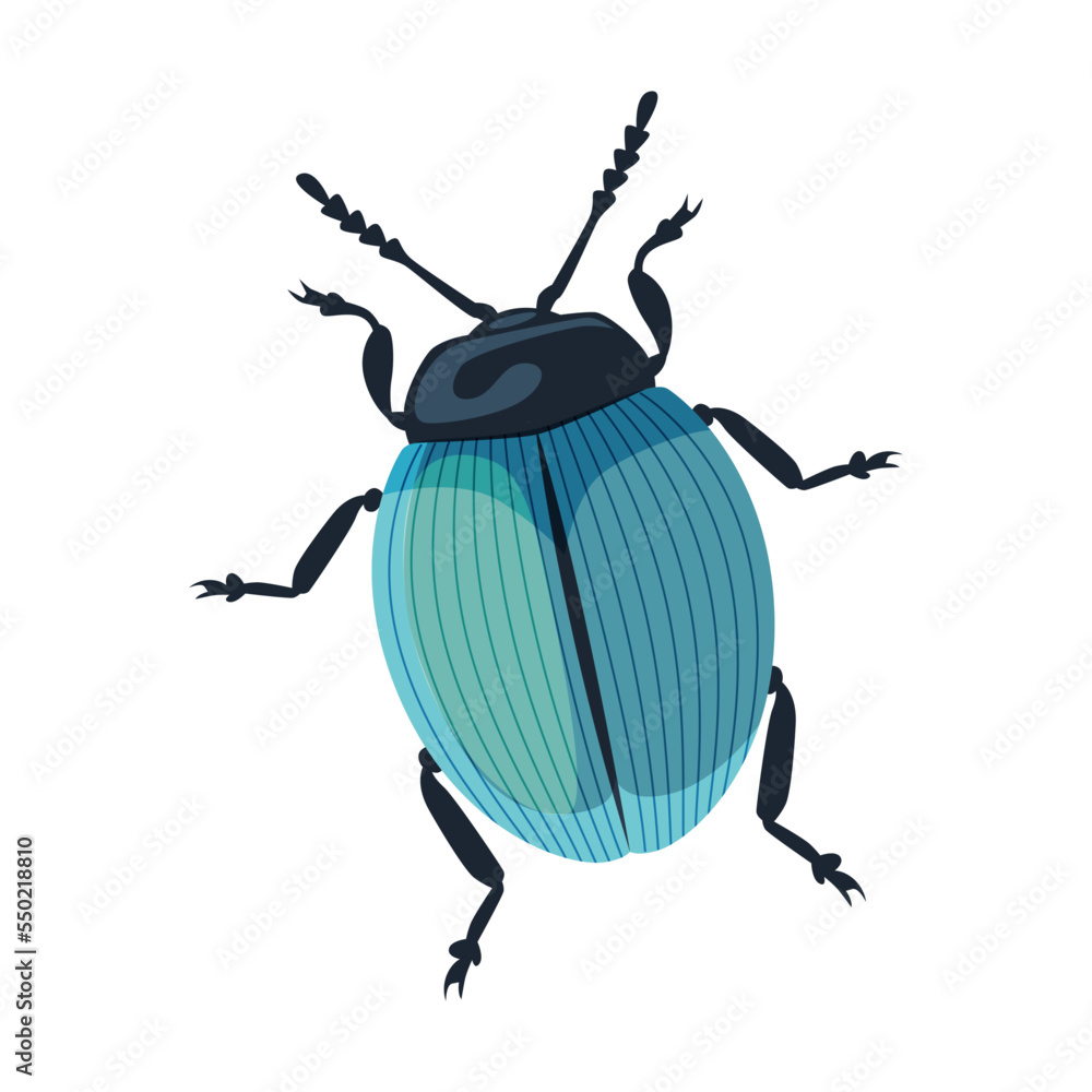 Realistic insect on white background cartoon illustration. Lady bug ...