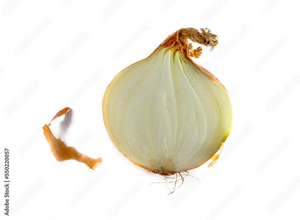 one onion isolated , png file Stock Photo | Adobe Stock