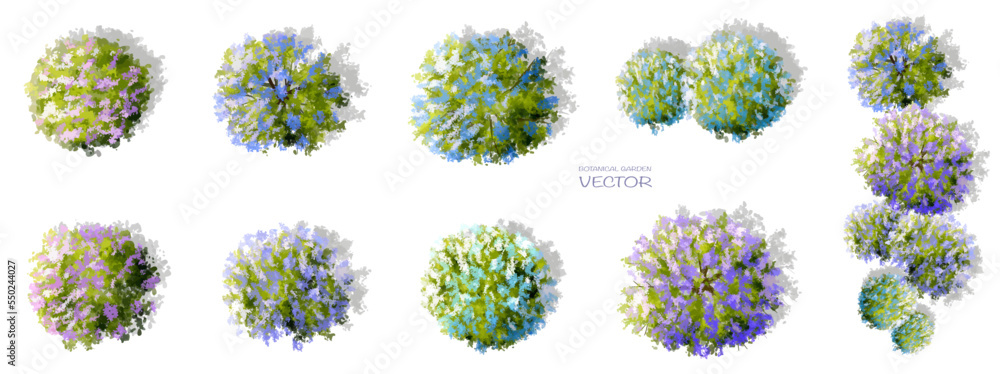 Vector watercolor blooming flower,tree or grass top view isolated on ...