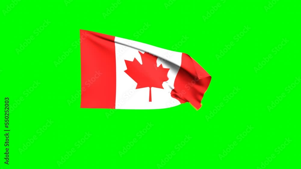 Canada waving flag 3D animation on a green background. Canada's ...